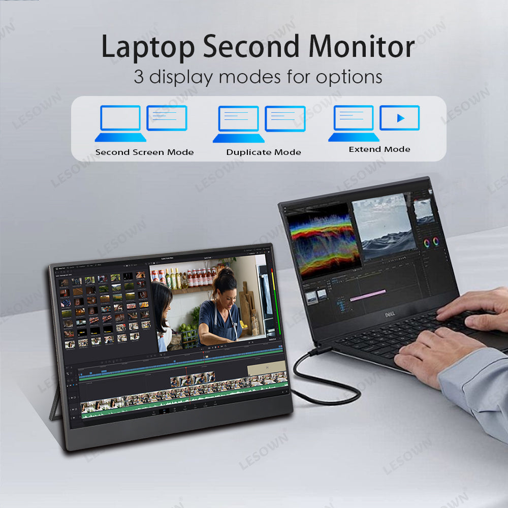 LESOWN P156K UHD 3840x2160 USB C HDMI 4K Touchscreen LCD Monitor 15.6 ...