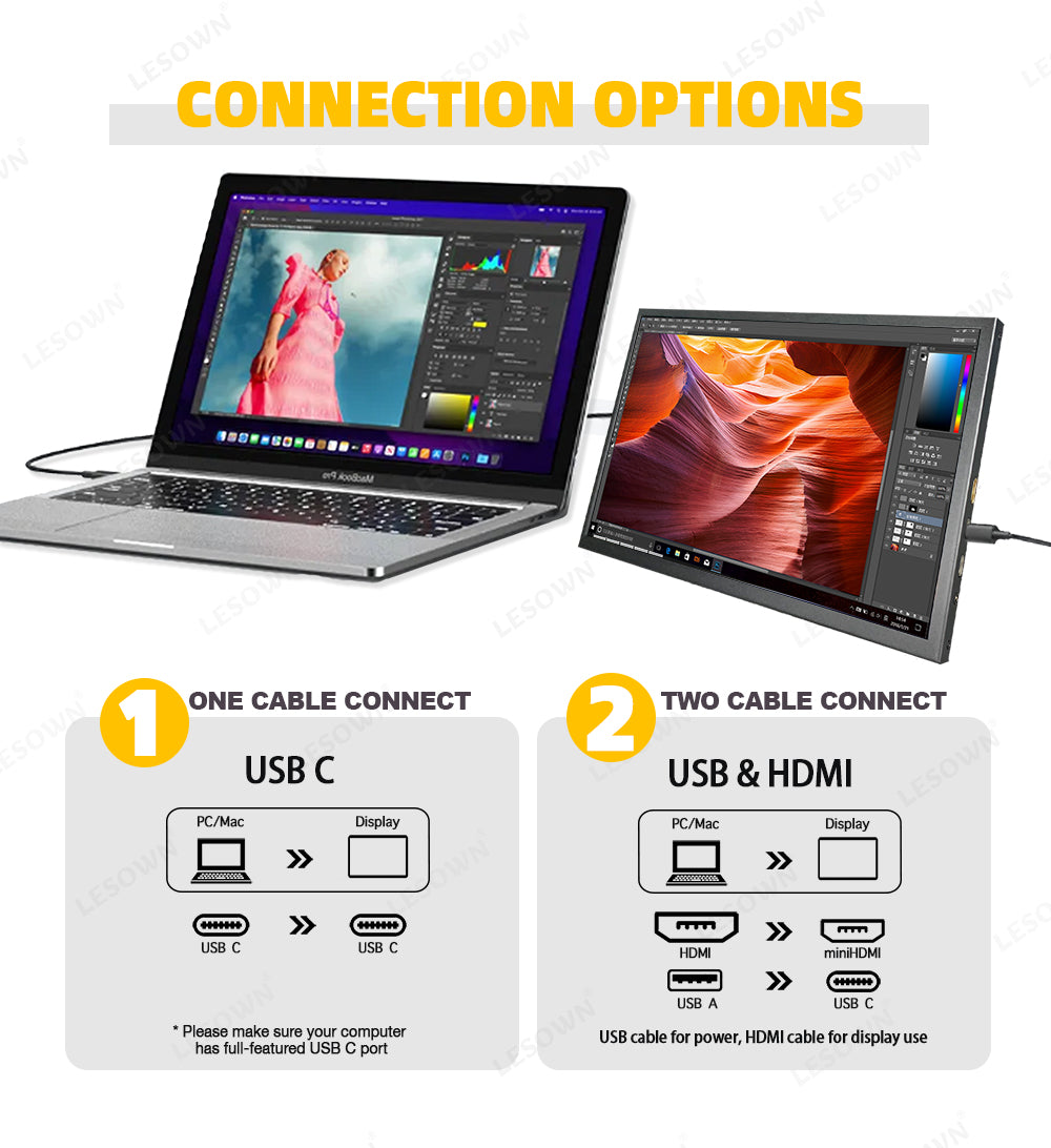 LESOWN P101GHS 10.1inch Small Wide Secondary Monitor 2560x1600 Compute ...